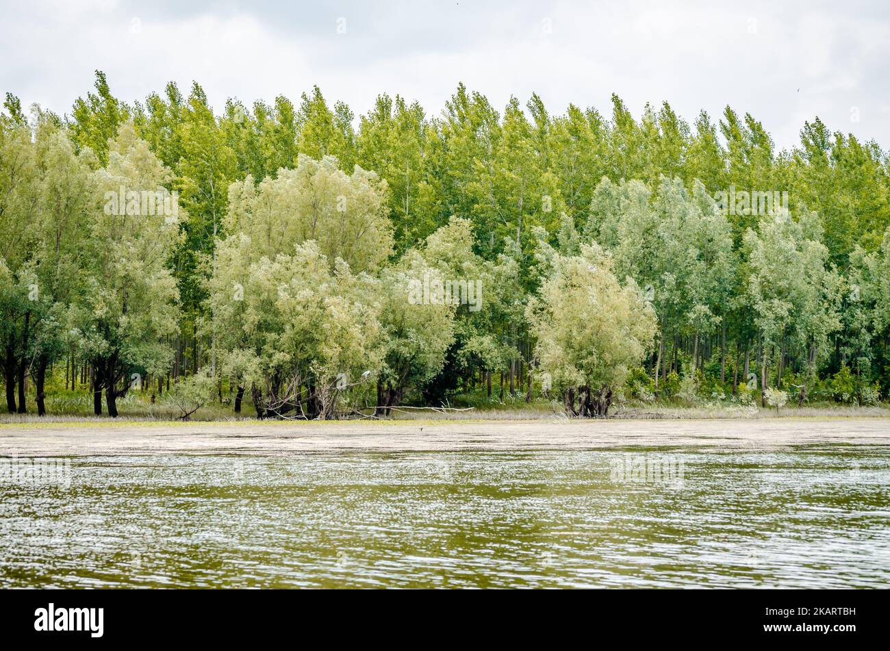 A panoramic view of the constructed artificial lake. A panoramic view ...