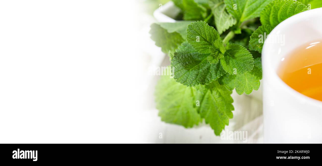 purple sage plant and tea on table and white background, Lippia Alba ...