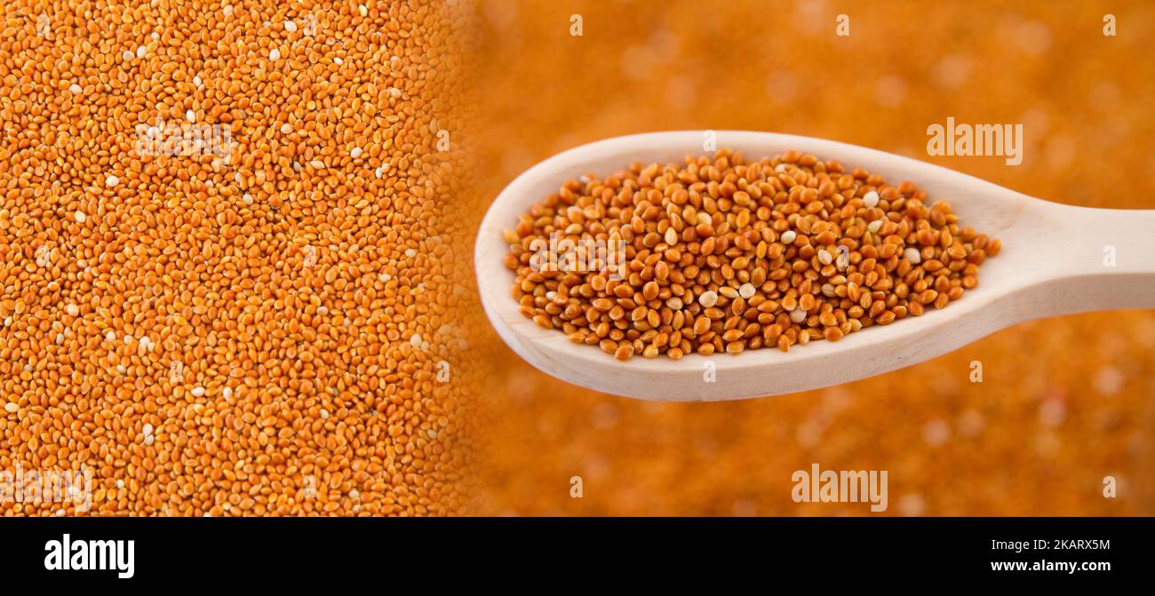 red millet grains, close up Stock Photo - Alamy