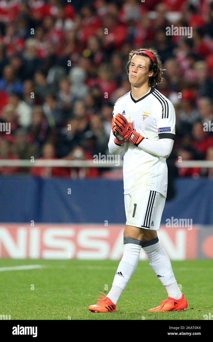 Belgian goalkeeper hi-res stock photography and images - Alamy