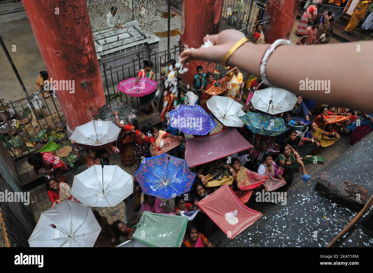 People collecting holy rice during the Annakut Utsav (Govardhan Puja ...