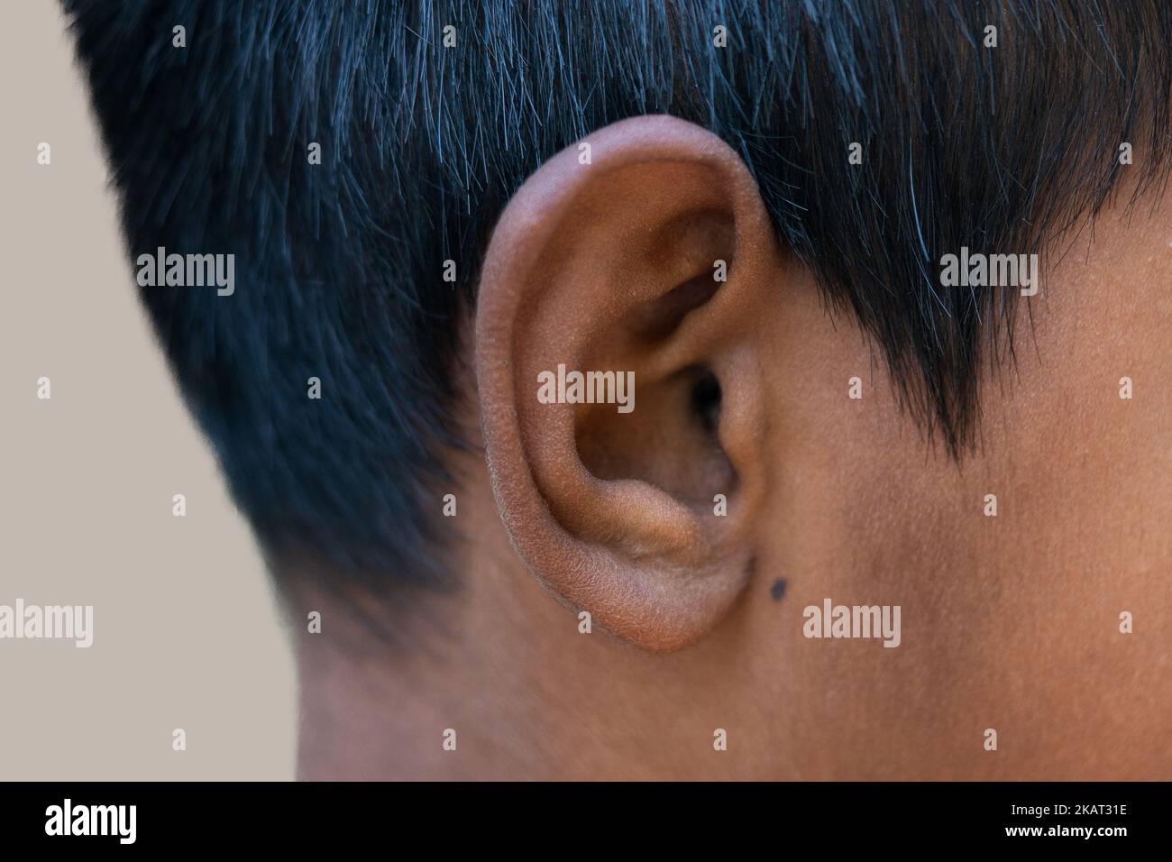 human ear close-up shot or ear ent doctor check Stock Photo - Alamy