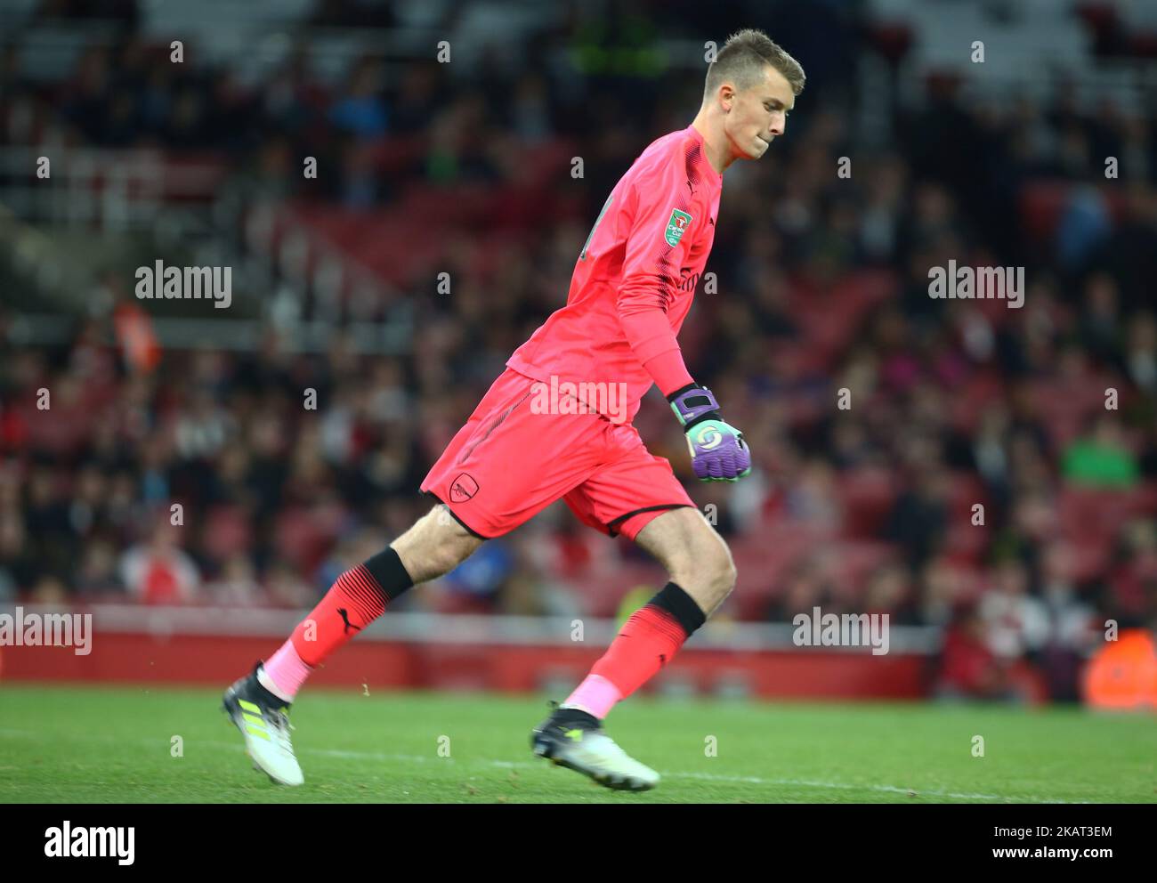 Matt macey hi-res stock photography and images - Alamy