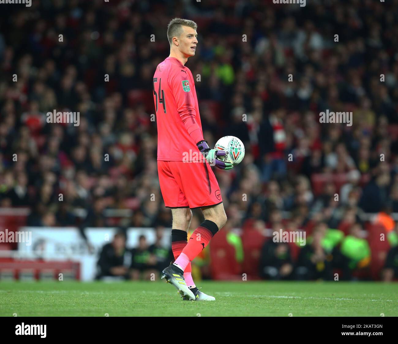 Matt macey hi-res stock photography and images - Alamy