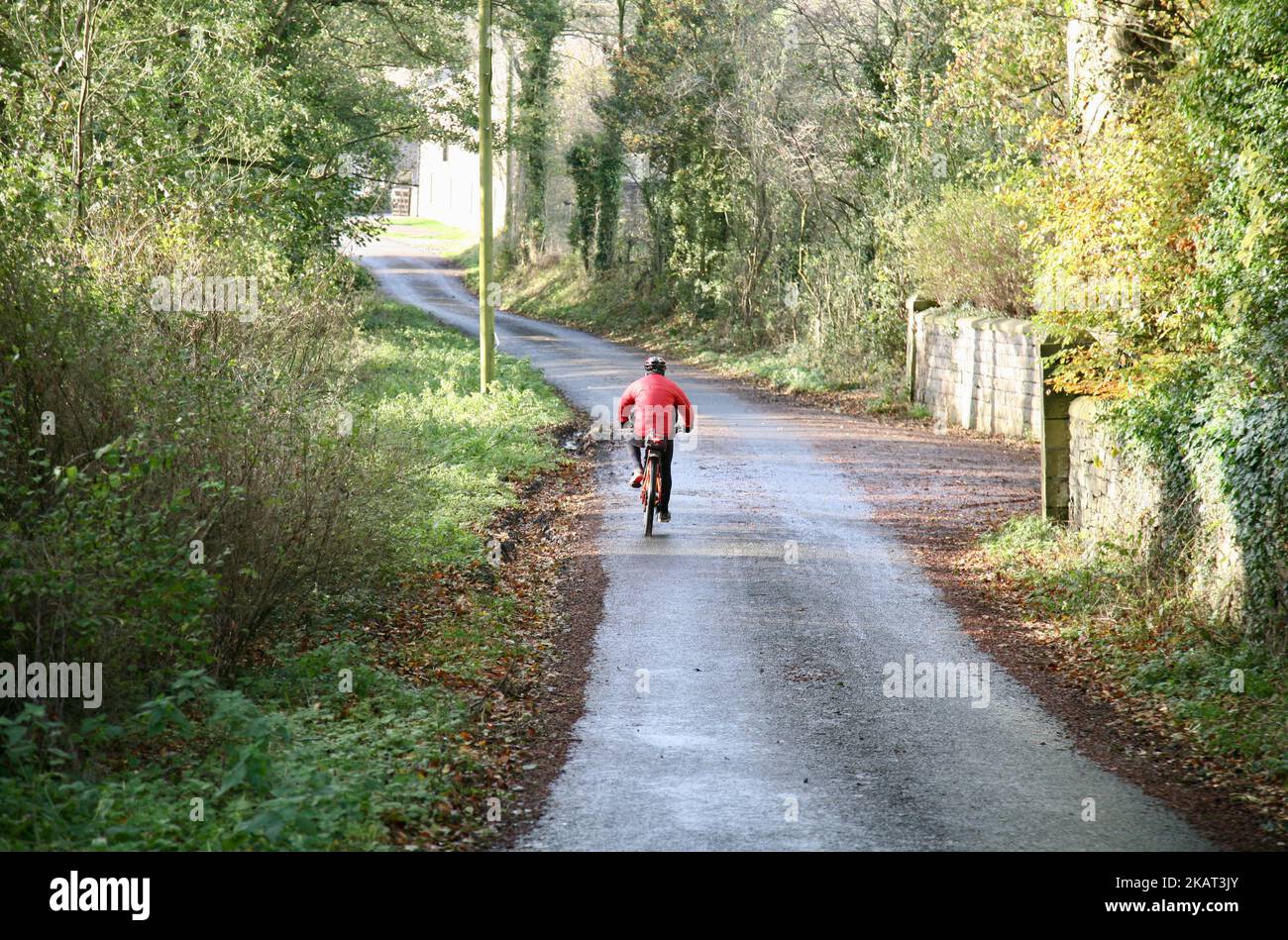 A solitary cyclist on a country lane, Worston, Clitheroe, Lancashire U ...