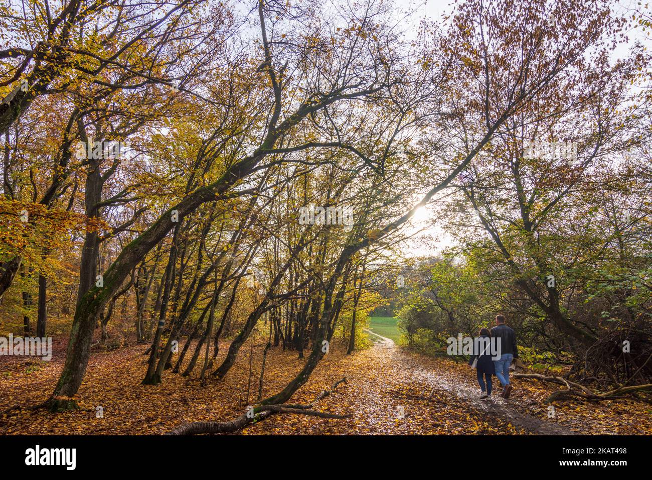 Hiker in 16 ottakring hi-res stock photography and images - Alamy