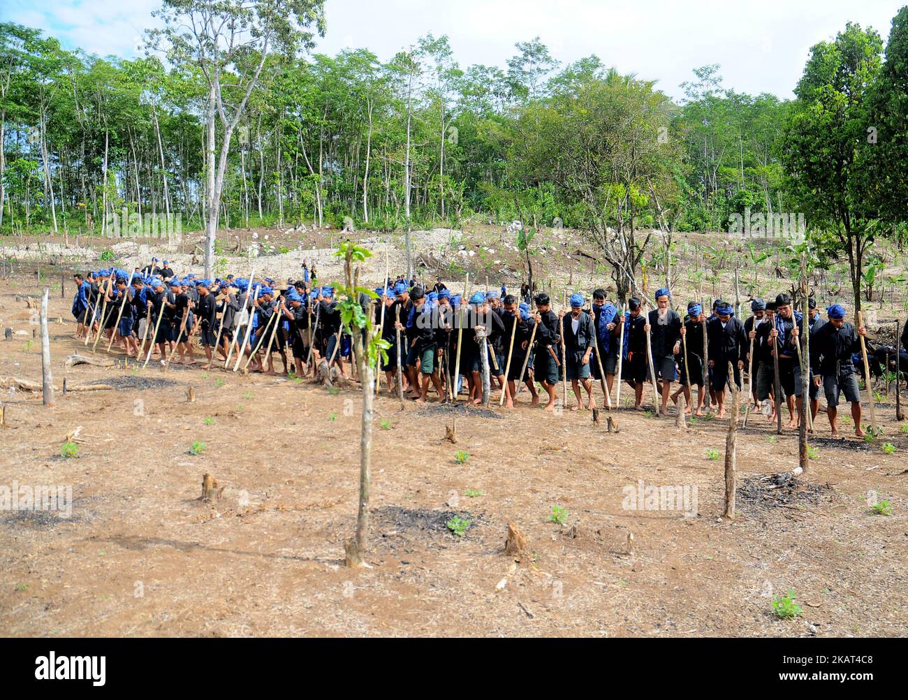 Baduy tribe ran Ngasek Pare ritual in Kanekes Village, Leuwidamar ...