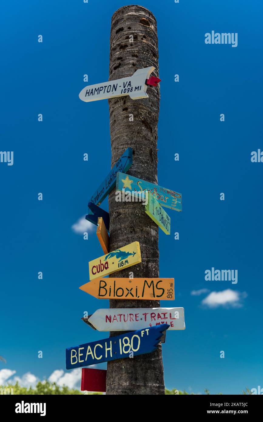 The colorful travel signs on the cut tree trunk show different ...