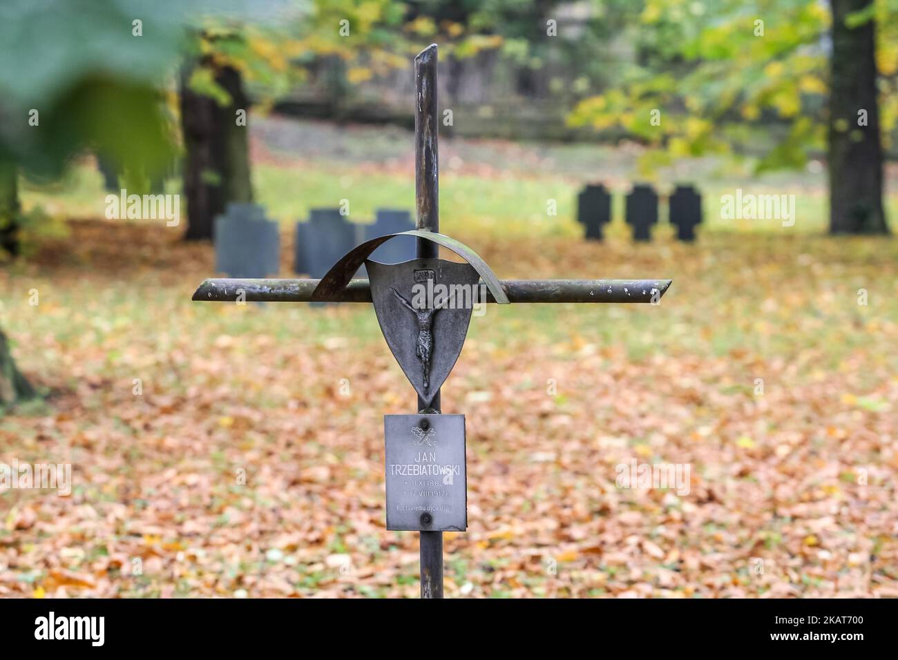 A general view of the German Army soldiers graves died during the 1st ...