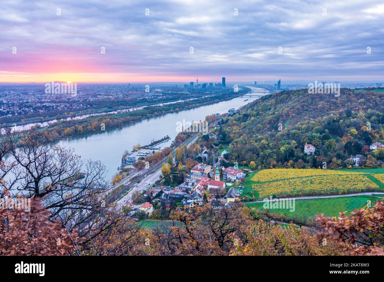 Wien, Vienna: sunrise at Vienna, vineyards, river Donau (Danube) and ...