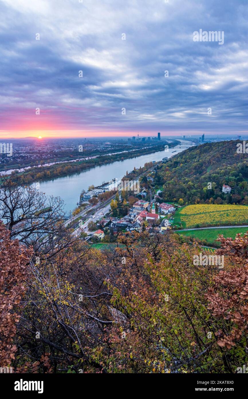 Wien, Vienna: sunrise at Vienna, vineyards, river Donau (Danube) and ...