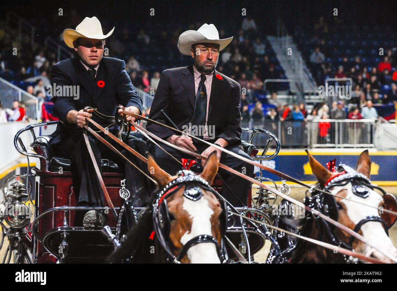 Rider is competing during the Royal Horse Show at throughout The Royal ...