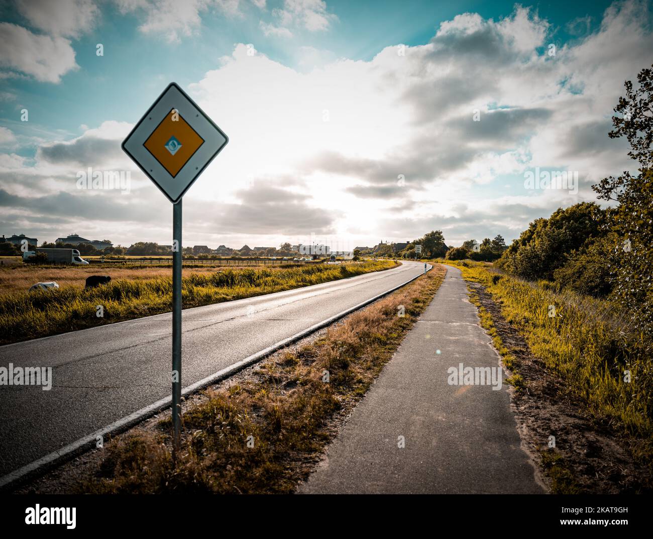 A diamond shape road sign in the middle of the path surrounded by ...