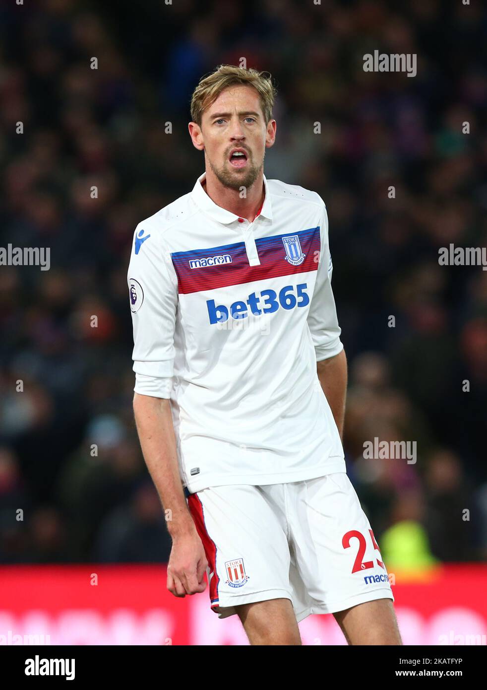 Stoke City's Peter Crouch during Premier League match between Crystal ...