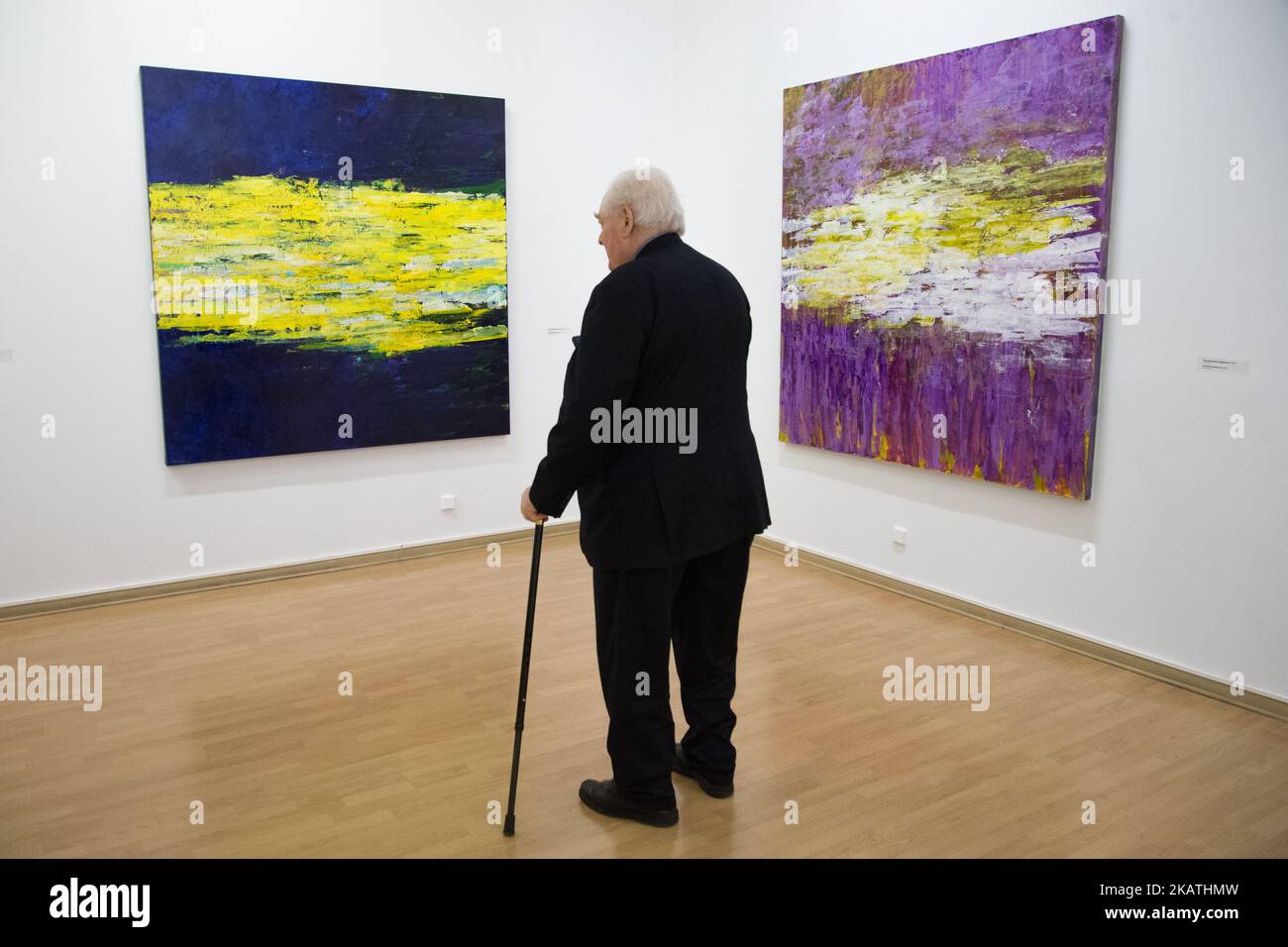 A visitor views the Personal Path exhibition of American artist Susan ...