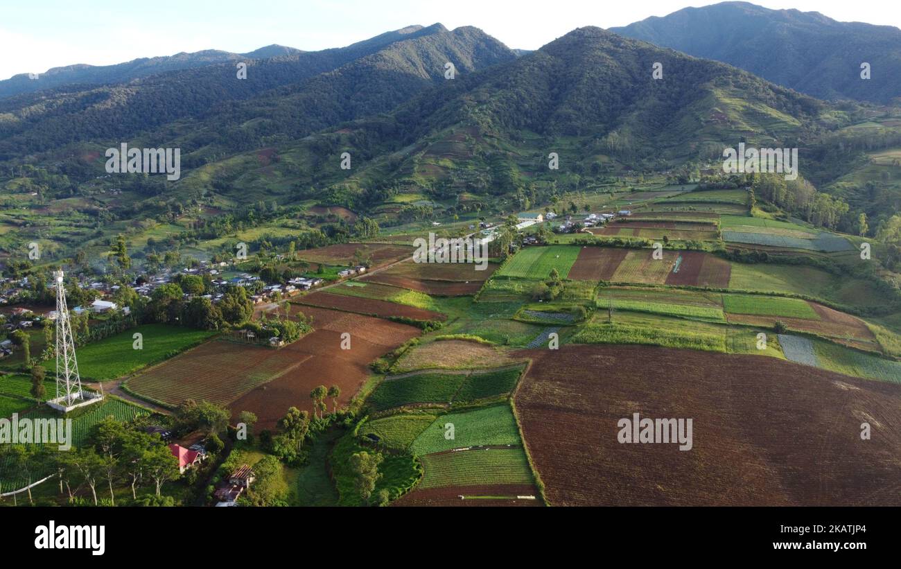 A beautiful view of a green landscape with a village, trees and ...