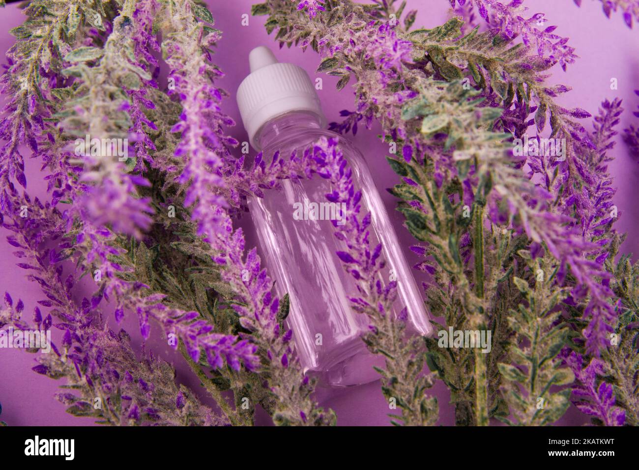 Liquid lavender extract in transparent bottle lie with Lavender flowers ...