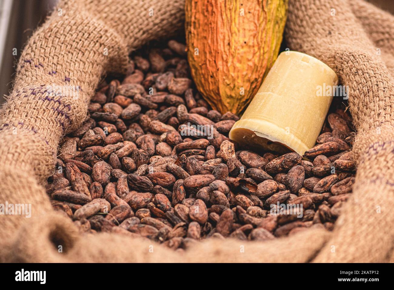 Roasted beans or seeds of Theobroma cacao or cocoa in a jute sack with ...
