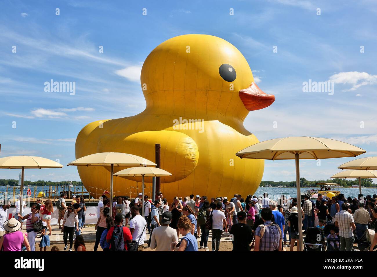 The world’s largest rubber duck arrived in Toronto, Ontario, Canada, on ...