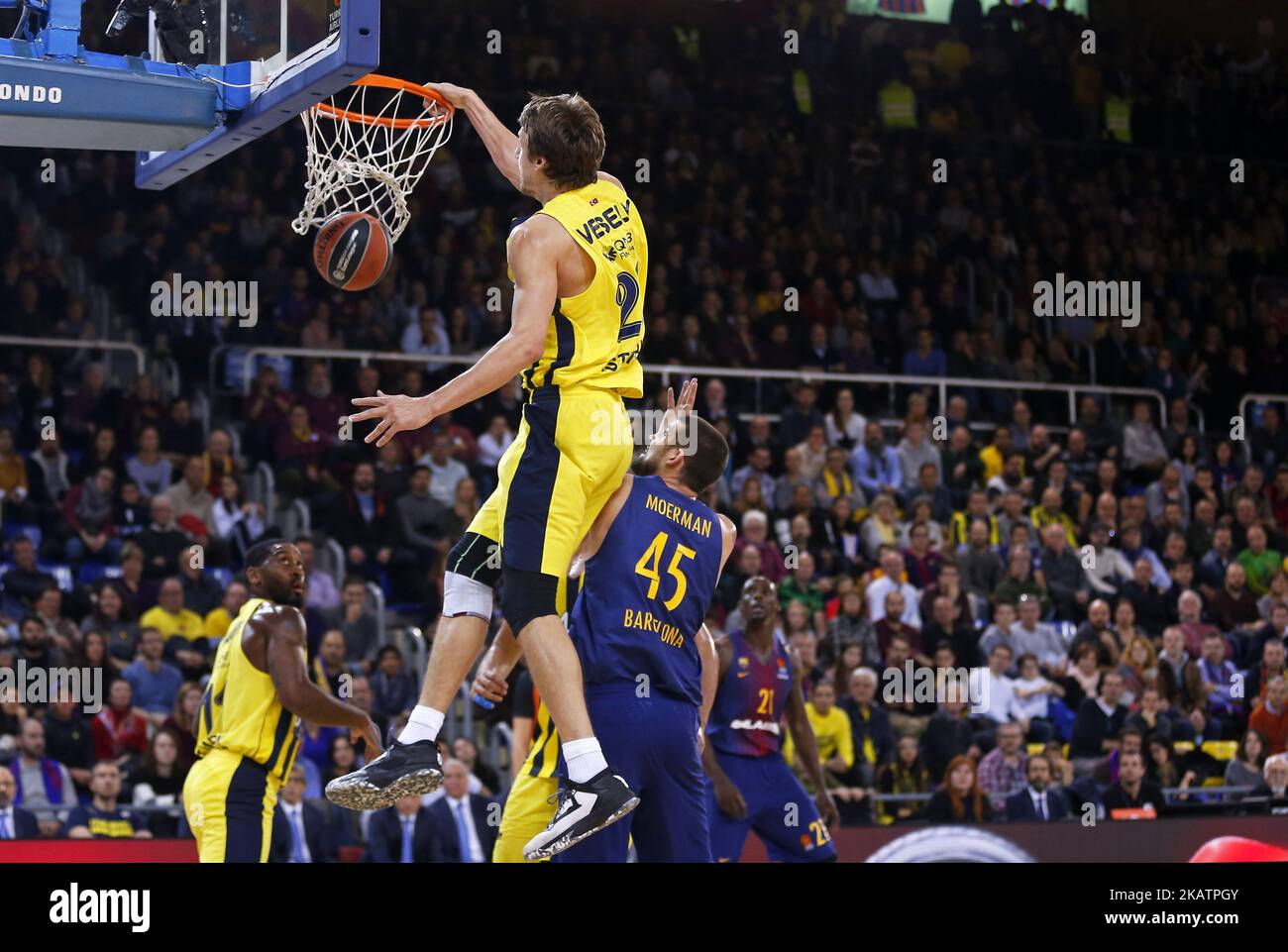 Jan Vesely during the match between FC Barcelona v Fenerbahce ...