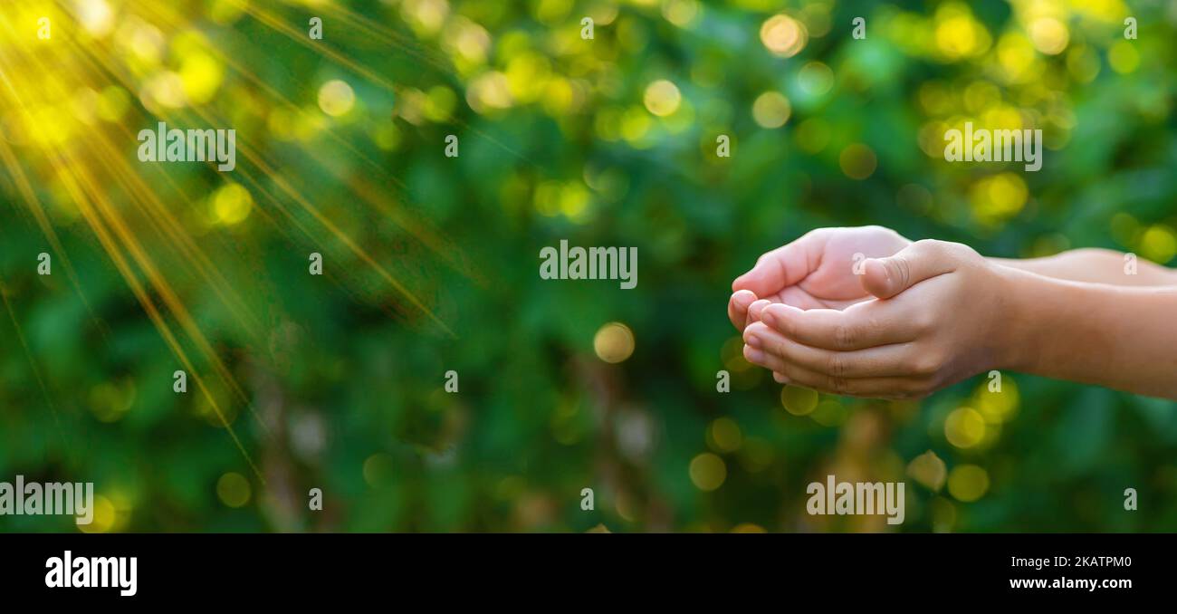 Abusing nature hi-res stock photography and images - Alamy