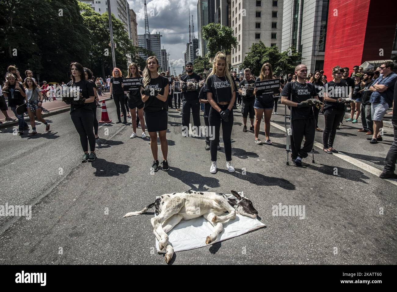 Organized each year by international animal-rights organization ...