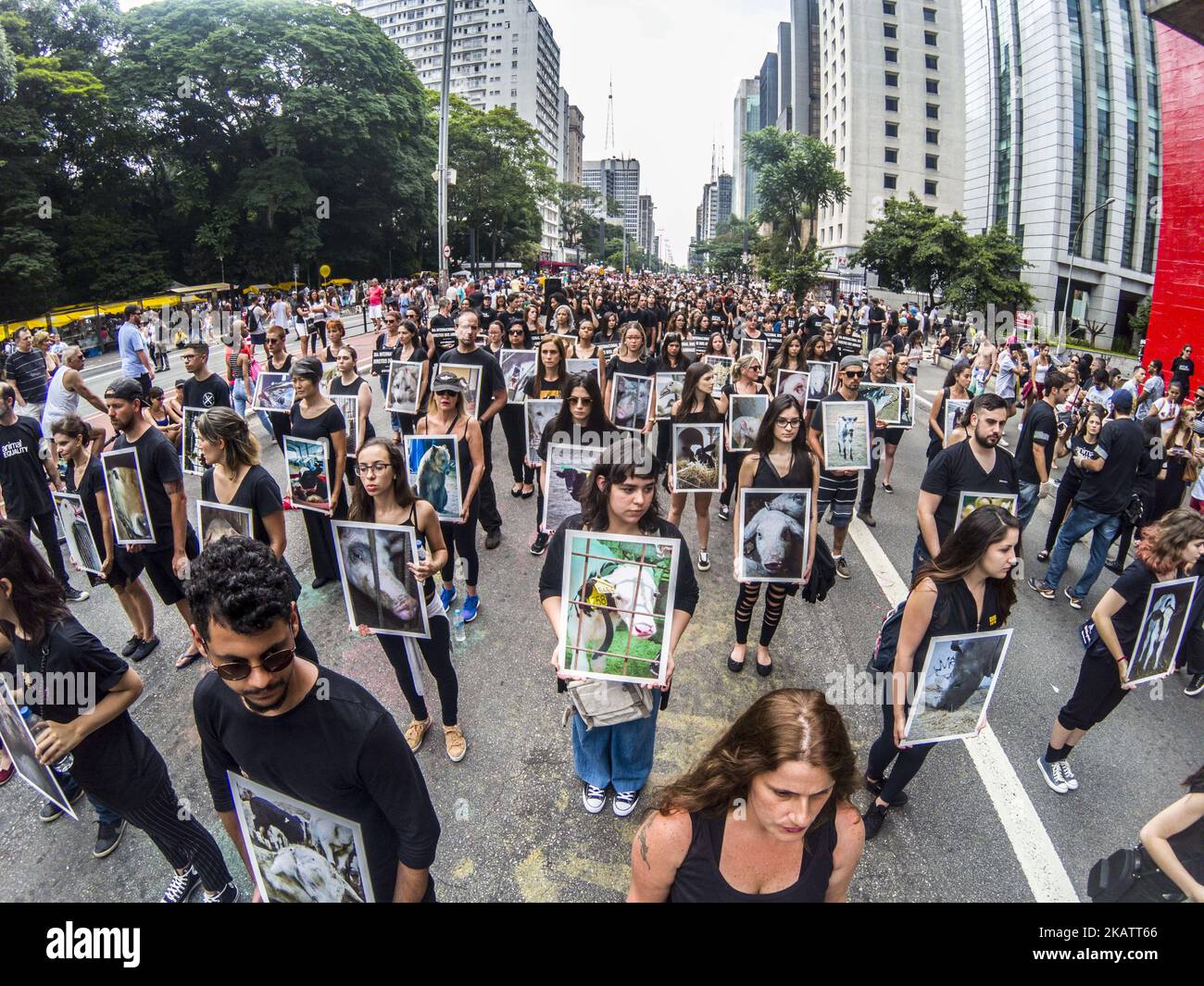 Organized each year by international animal-rights organization ...