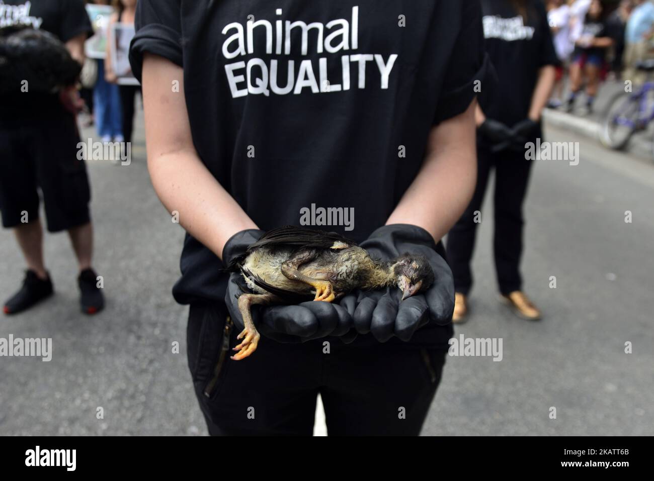 Organized each year by international animal-rights organization ...