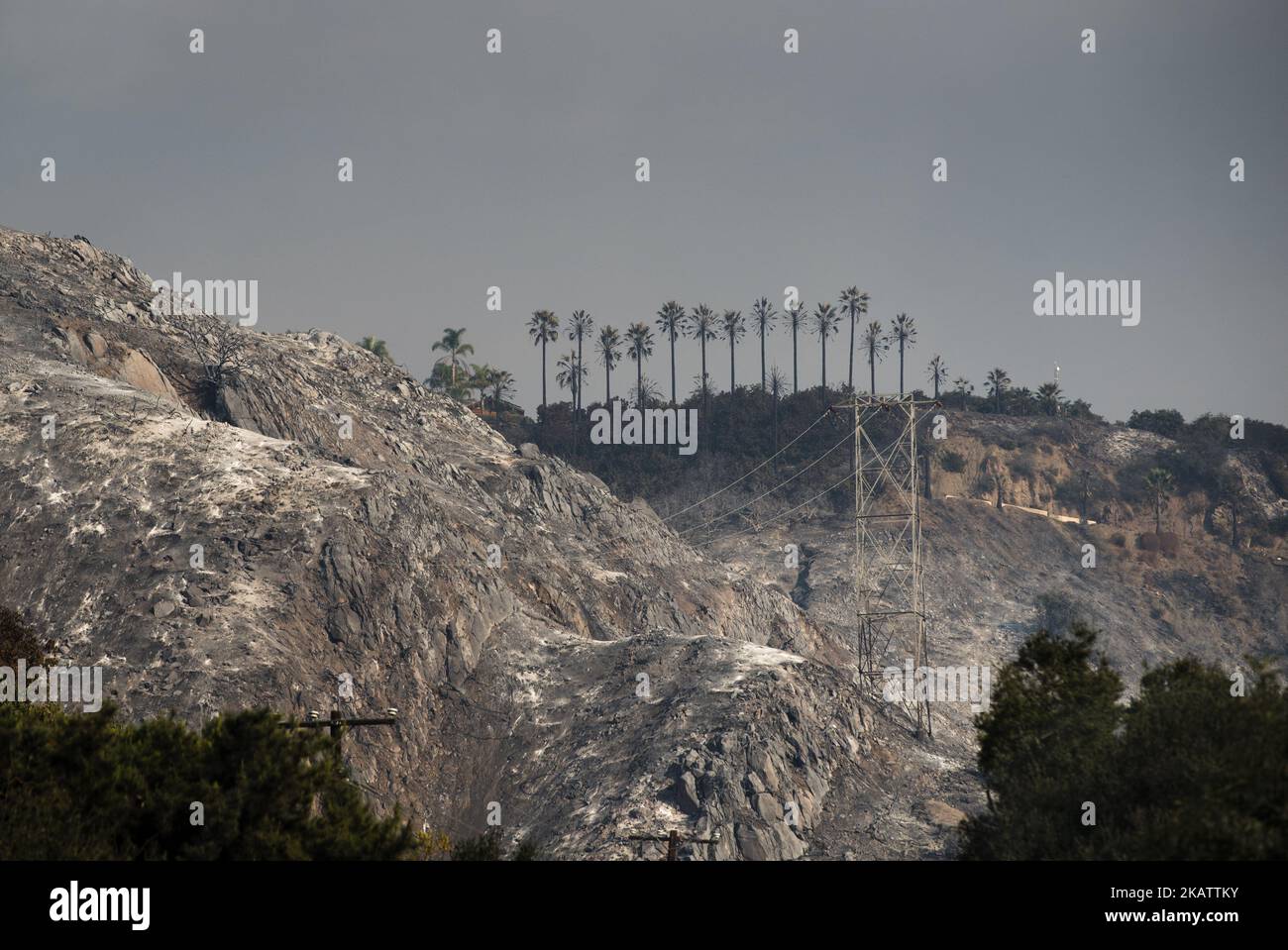 Torched hills from the Thomas wildfire burns in Carpinteria, California ...