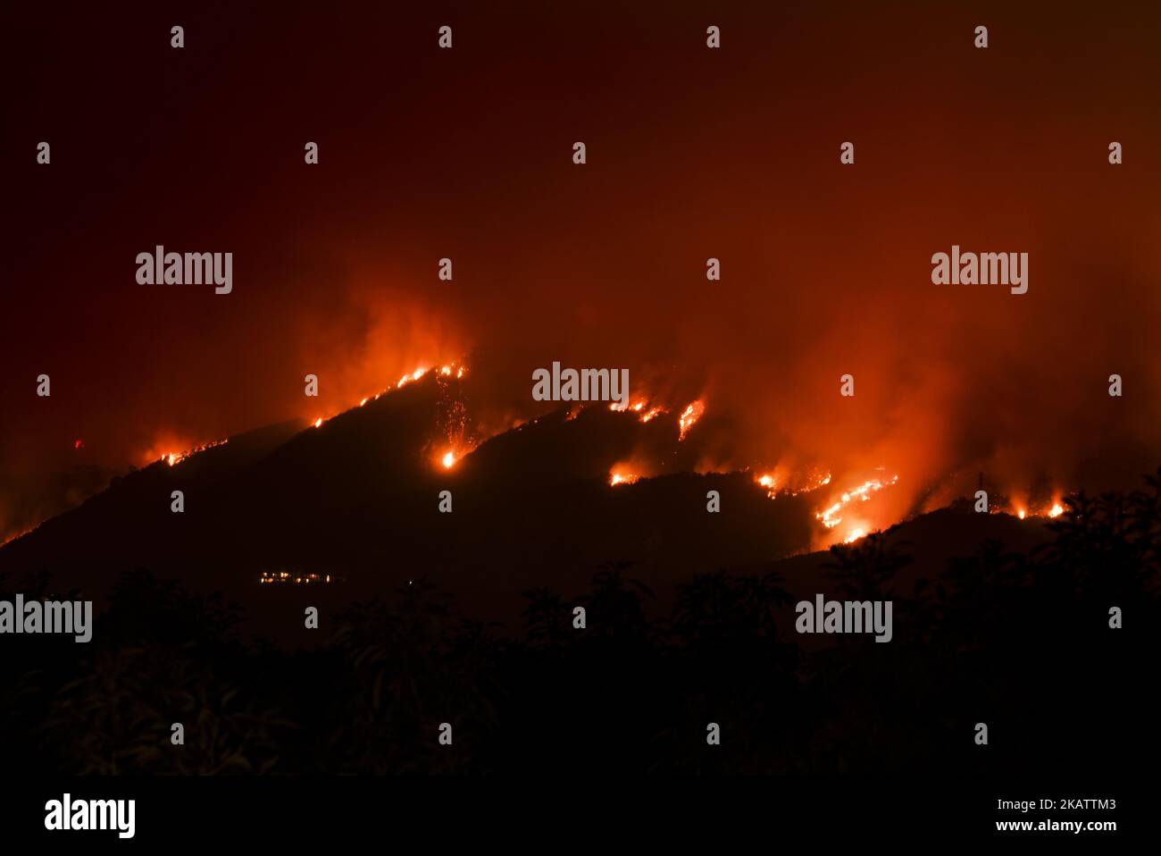 The Thomas wildfire burns in Carpinteria, California on December 11 ...