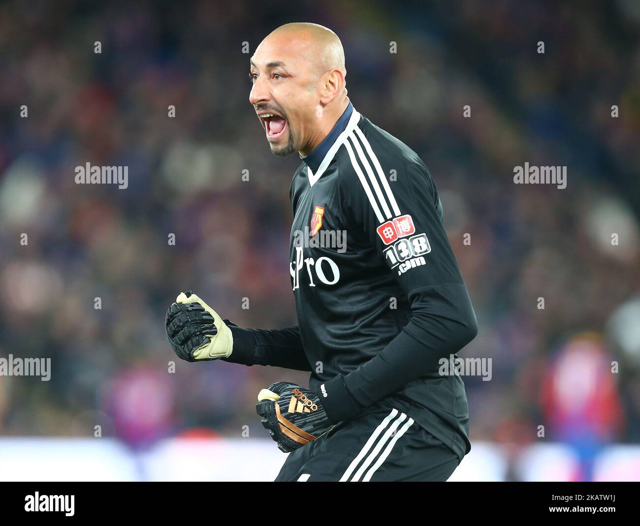 Watford's Heurelho Gomes celebrates his sides first goal during Premier ...