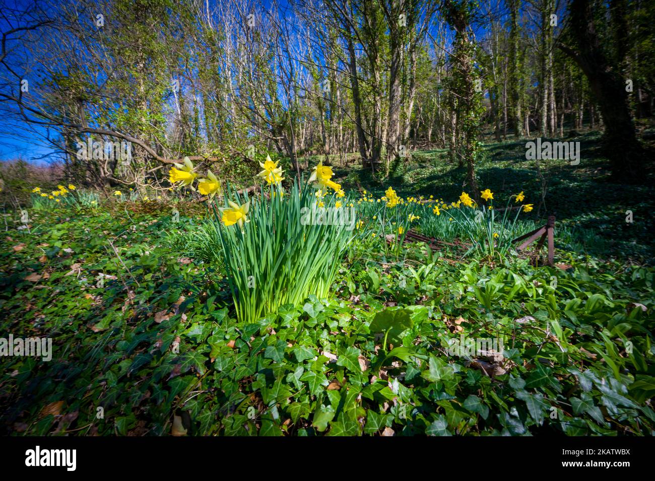 Minehead hurlstone point hi-res stock photography and images - Alamy