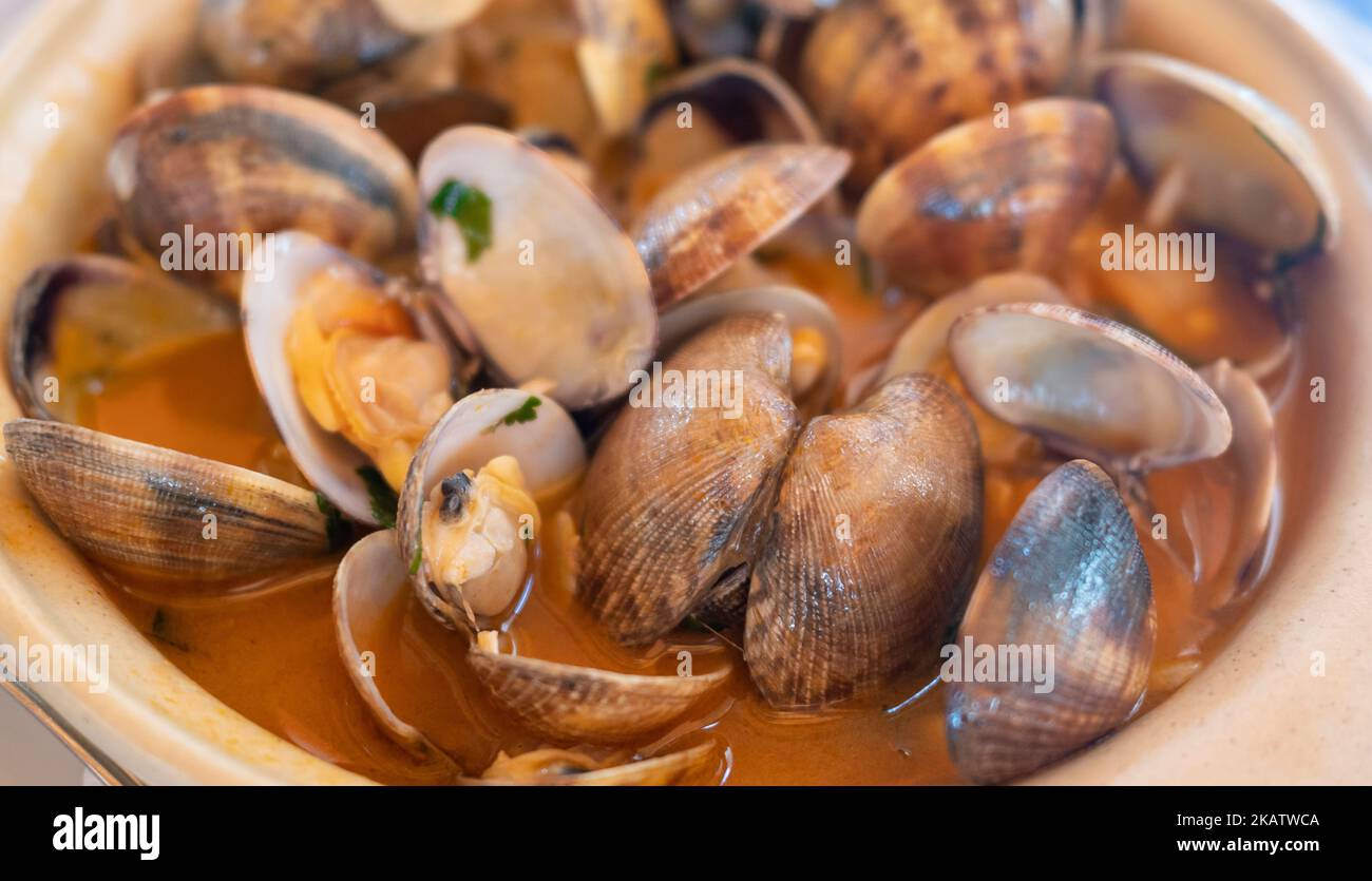 Tapa de concha hi-res stock photography and images - Alamy