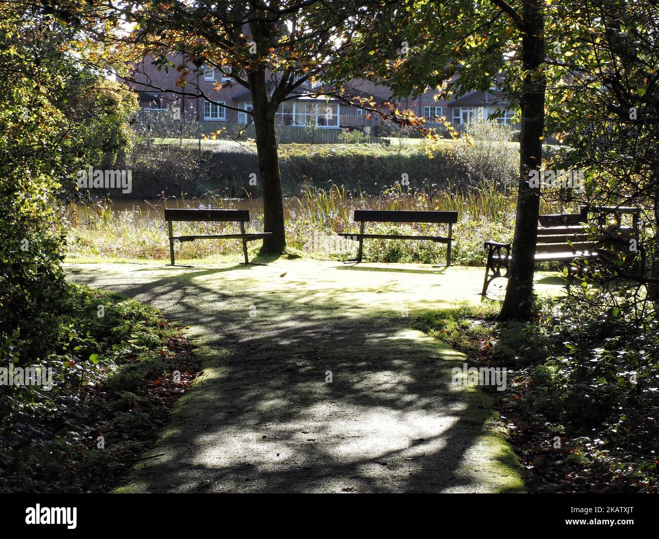 Park benches in shadows Stock Photo - Alamy