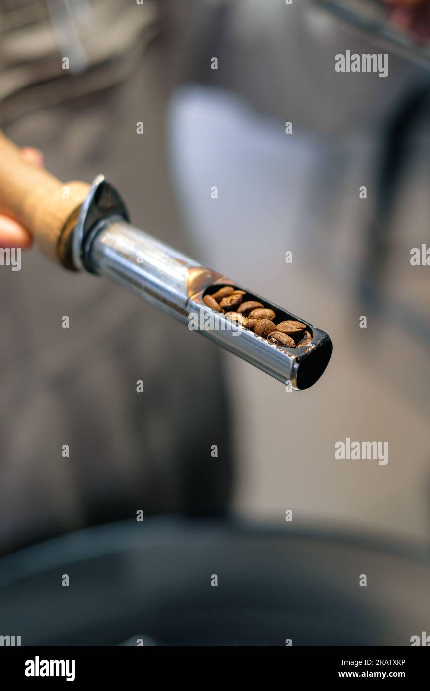 A vertical shot of a hand holding a thin coffee roaster with beans ...