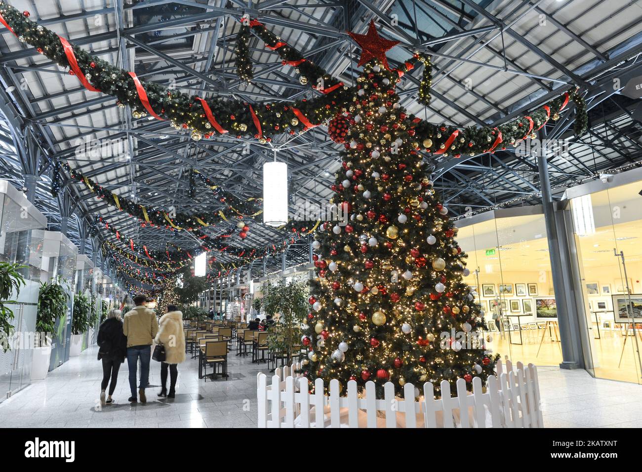 A general view of a Christmas Trees inside a CHQ Dublin, just a week ...
