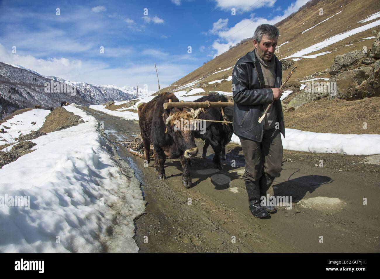 Snow covered Ushguli village at the foot of Mt. Shkhara in Georgia ...