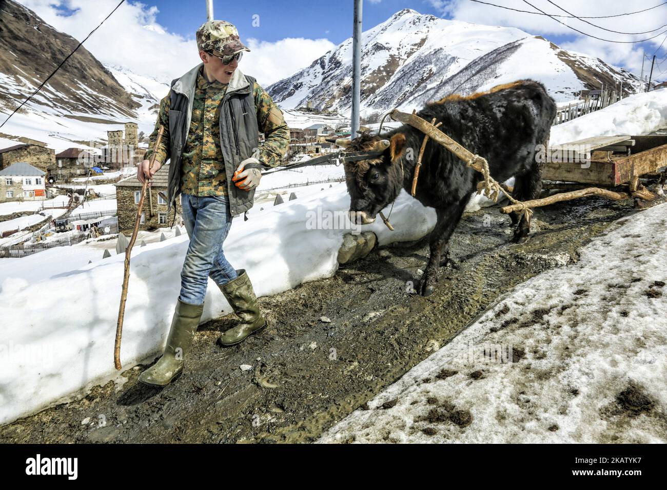 Snow covered Ushguli village at the foot of Mt. Shkhara in Georgia ...