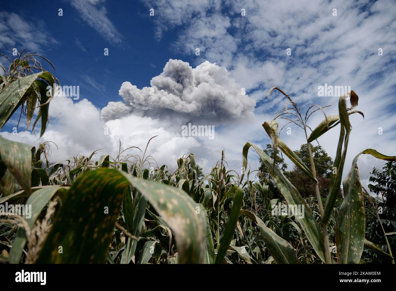 On 27 December 2017 Sinabung volcano in Karo, North Sumatra, Indonesia ...