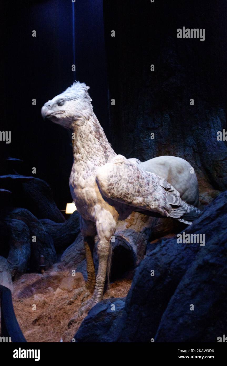 Hippogriffe in the forbidden forest at the Warner Bros' Harry Potter ...