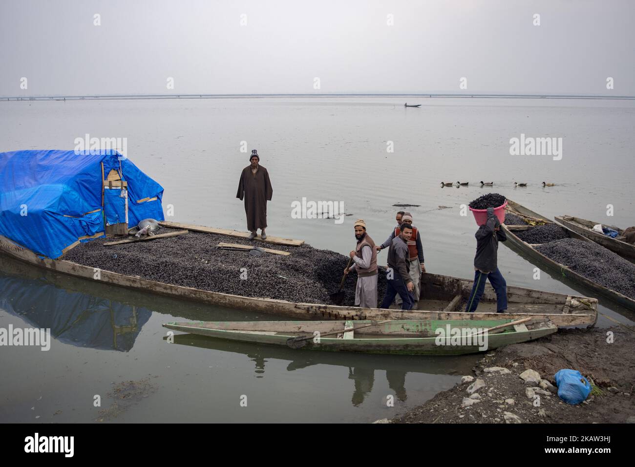 Kashmiri men unload their vessel full of water chestnuts after ...
