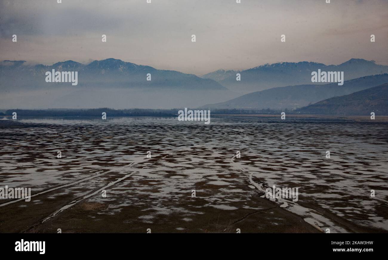 A view of marshy Wular lake full of water chestnuts during harvesting ...