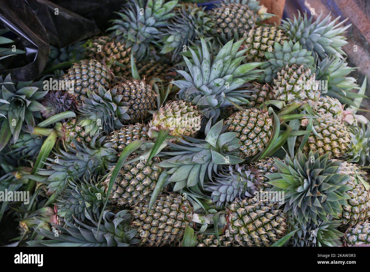 Sri lankan agri hi-res stock photography and images - Alamy