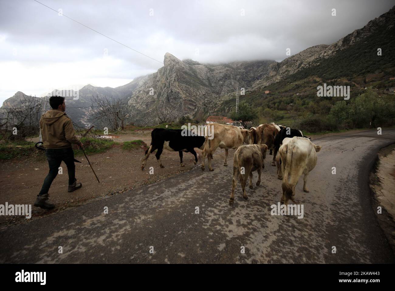 Boghni hi-res stock photography and images - Alamy