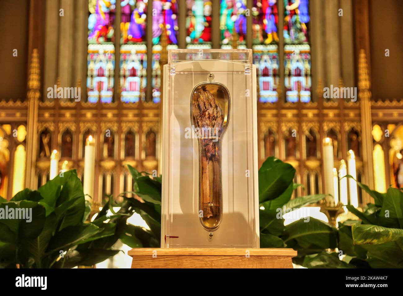 The forearm of Saint Francis Xavier, a popular saint revered by ...