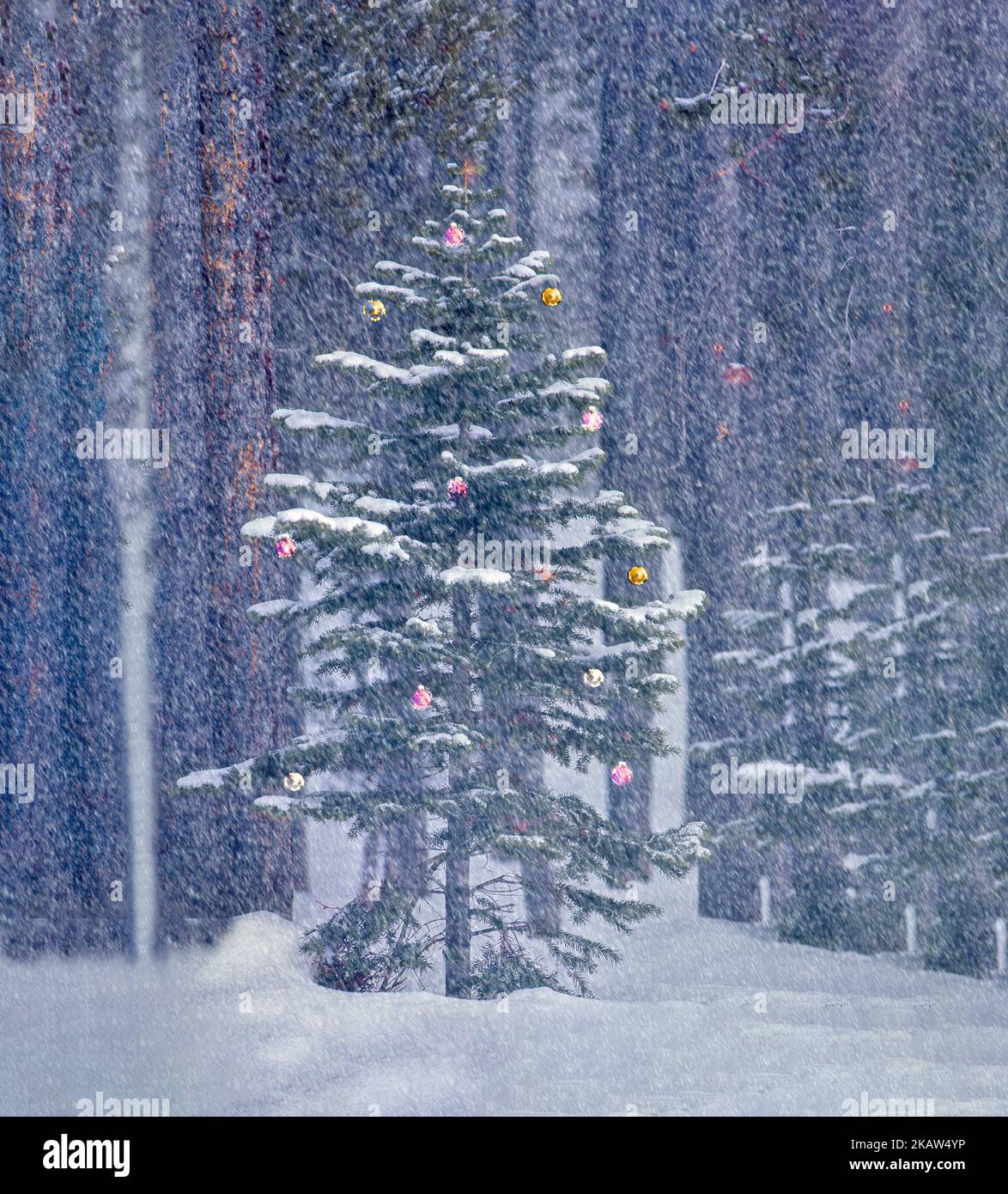 Gcold hi-res stock photography and images - Alamy