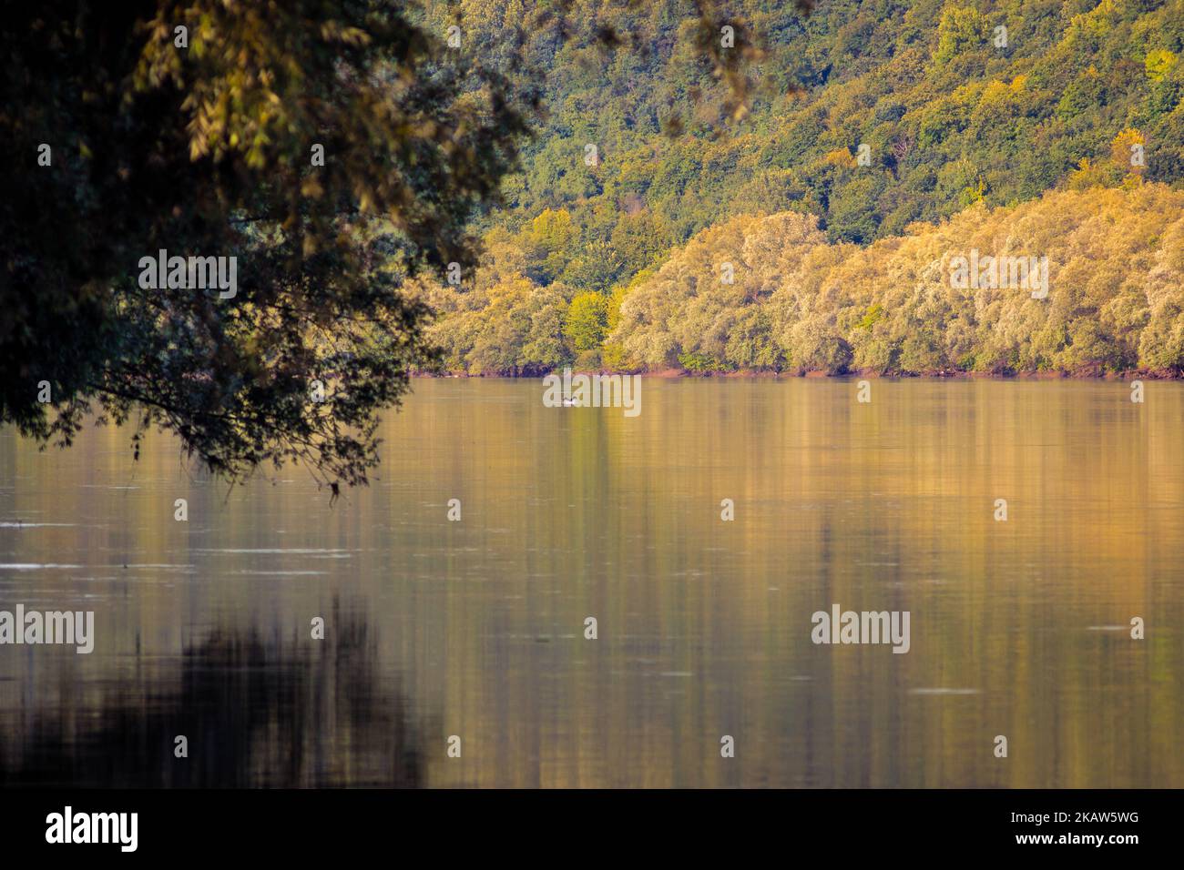 A beautiful lake view with trees surrounding it Stock Photo - Alamy