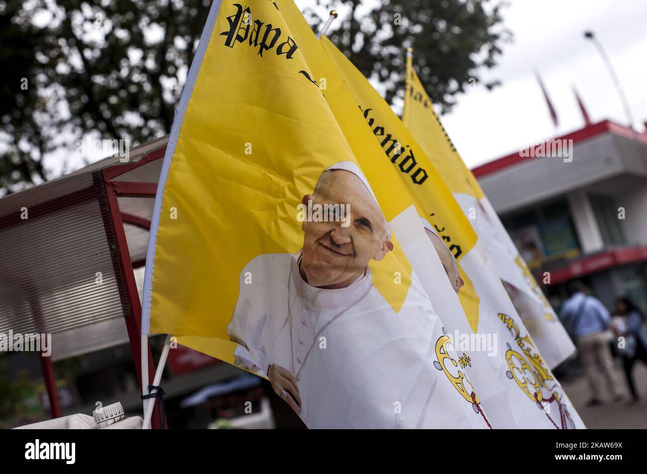 Mapuche flags hi-res stock photography and images - Alamy