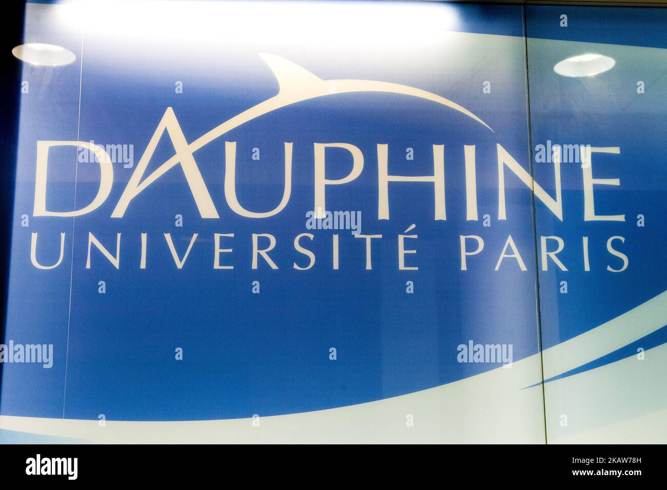 Paris Dauphine Logo