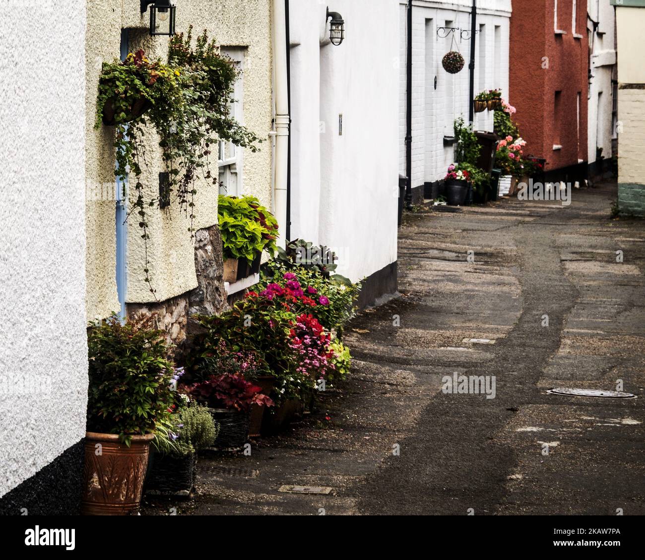The Plant Pots Outside Houses in Majorfield Road Topsham Devon, UK ...